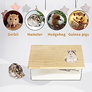 kathson Hamster Sand Bath Box Transparent Acrylic Small Animals Shower Bathtub Guinea Pigs Digging Sand Container Cage Accessories for Lemmings Gerbil Mice Hedgehog Chinchilla (Square)