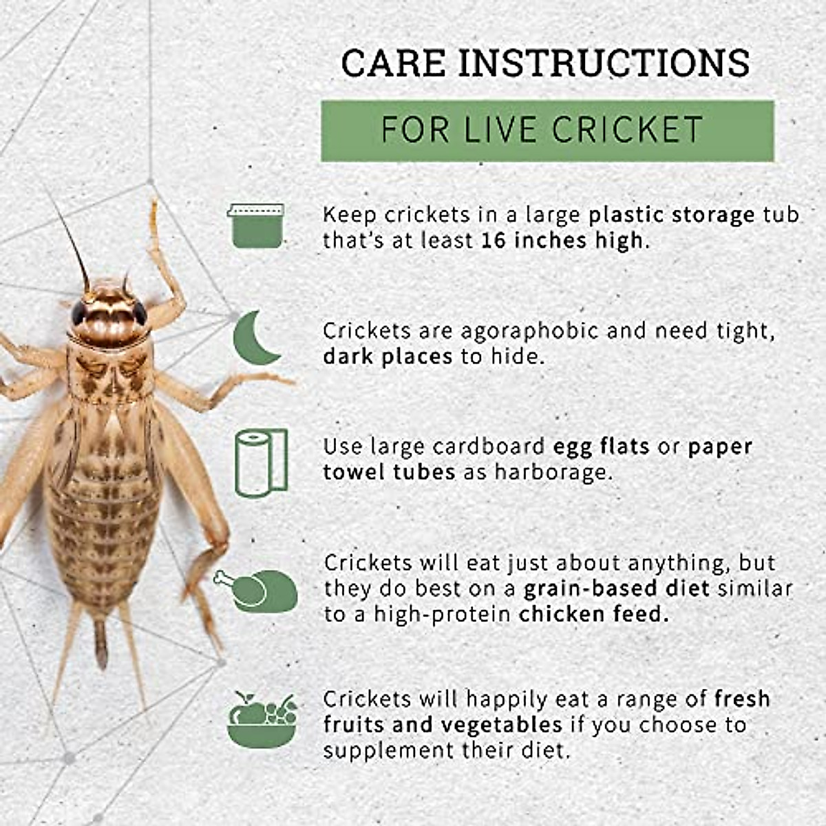 OVIPOST Live Crickets 3/4” Banded | 1000 Count | Live Crickets for Reptiles, Large Bulk Arrival of Large Banded Crickets - High Protein Live Feed Crickets, Bearded Dragon Food & Pet Food