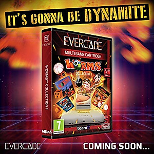 Blaze Evercade Worms Collection 1 - Nintendo DS