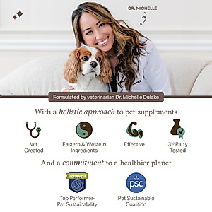 Fera Pet Organics Liver Supplement for Dogs & Cats - Vet Created - Pet Liver & Detox Function – Milk Thistle Supplement - Zinc, Choline & More - 60 Scoops​