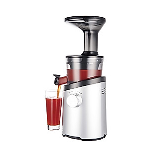 Hurom H101 Easy Clean Slow Juicer, Matte Silver (Renewed)