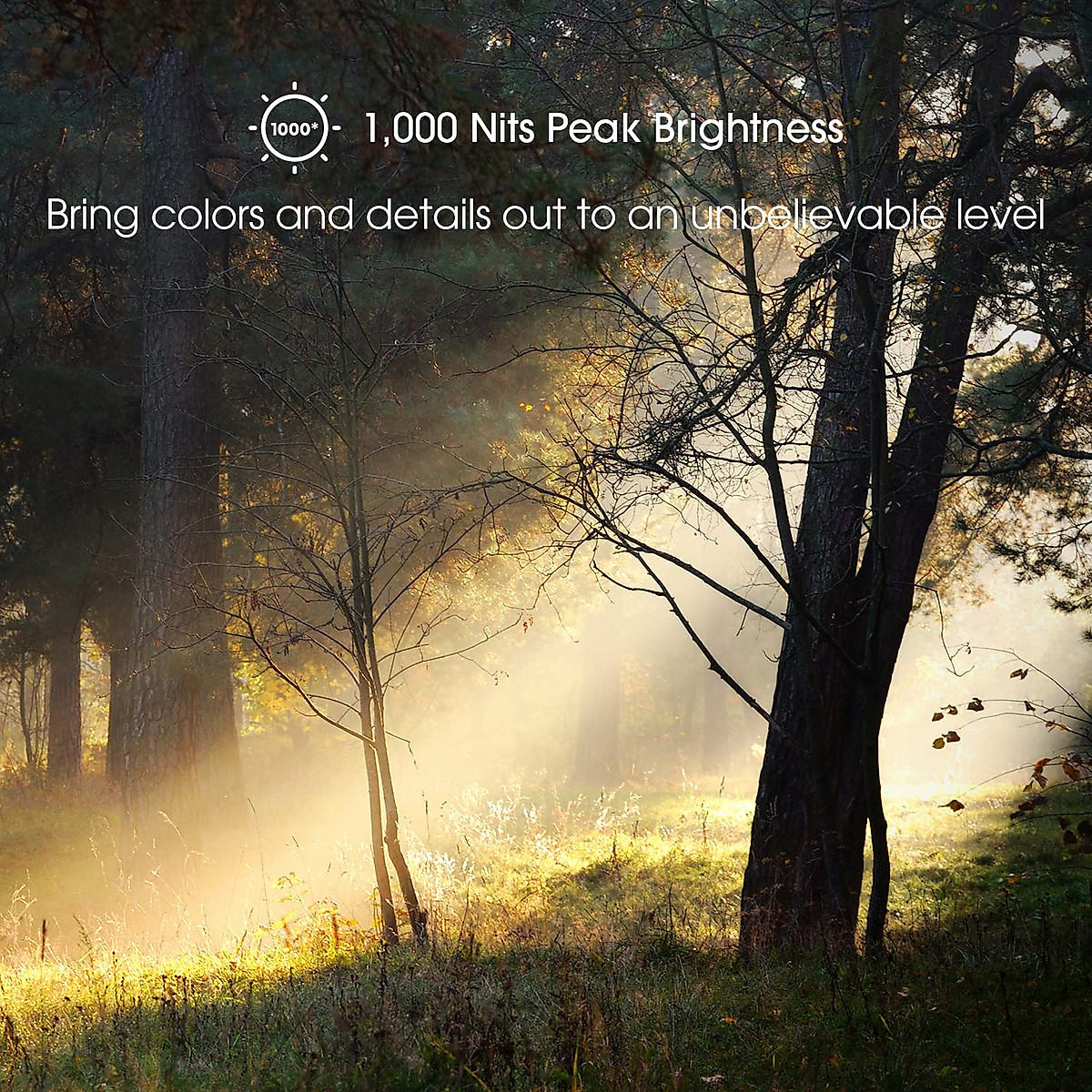 Hisense ULED Premium 75U7G QLED Series 75-inch Android 4K Smart TV with Alexa Compatibility, 1000-nit HDR10+, Dolby Vision Atmos, 120Hz, Game Mode Pro