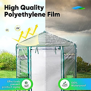 Quictent 4.7 x 4.7 x 6.4 FT Walk-in Greenhouse, Mesh Door & Windows, 3 Tiers 12 Shelves, Mini Portable Indoor Outdoor Garden Plant Green House, Clear