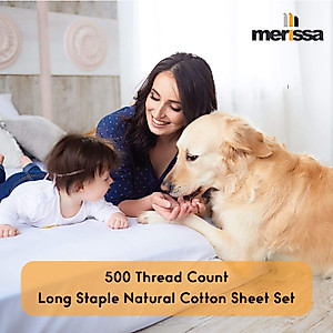 Merissa Luxury 100% Egyptian Cotton Sheets 1000 Thread Count 4 Piece Extra Deep Pocket Bed Sheet Set Sateen Stripe (White, Queen)