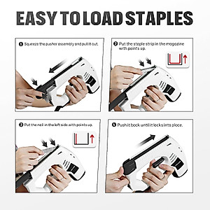 Bielmeier Electric Staple Gun, 2-in-1 Staple Gun Brad Nailer Including 2000Pcs Staples and Nails, 120V Corded Nail Gun Electric Stapler Heavy Duty for DIY Projects, Upholster and Woodworking