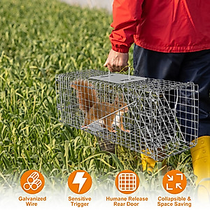 Live Animal Cage Trap 23.5" x 7.3" x 7.7" Collapsible Humane Live Animal Cage Trap, Humane Live Trap Cage for Rabbits, Groundhog, Stray Cat, Squirrel, Raccoon, Mole, Gopher, Chicken, Skunk, Chipmunk