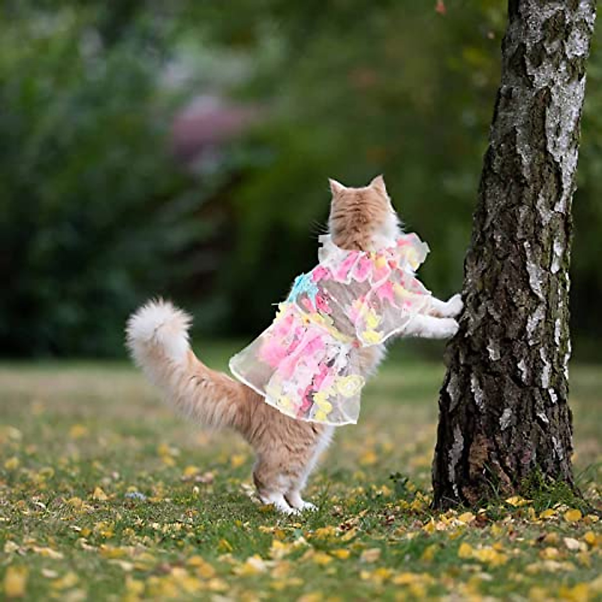 HonpraD Small Dog Shirts for Dress Spring and Summer Pet Clothes Spring Cute Pet Supplies Cotton Peach Dress Birthday Dresses for Large Dogs Girl