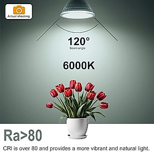 WSMCN MR16 GU5.3 LED Bulbs, Daylight Bright Cool White 6000K 700 Lumens Lamp, Non-dimmable, 6.5W Equivalent to 60W Halogen, AC/DC 12V LED Spotlight Bulb, 120° Beam Angle, Pack of 6