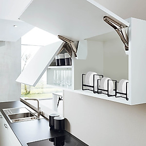 CUKE2BEET 3PCS Metal Plate Holder Organizer, Vertical Plate Rack Dish Organizer for Cabinet,Dish Storage Rack Drying Rack for Cupboard (1 Large and 2 Small, Black)