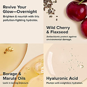 Paula's Choice Nightly Reconditioning Moisturizer - Anti-Pollution, Hydrating Face Cream with Wild Cherry & Marula Oil, 2 oz