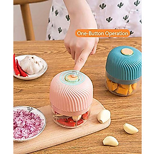 DmofwHi Electric Garlic Chopper,Cordless Mini Chopper With USB Rechargeable,304 Stainless Steel Blade,250ml Portable Electric Mini Food Chopper for Garlic,Ginger,Onion,Meat-Blue