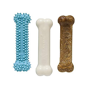 Nylabone Puppy Triple Pack - Blue Puppy Teething Toy, Nylon Dog Toy, & Chew Treat Variety Pack - Puppy Supplies - Chicken and Bacon Flavors, Small/Regular (3 Count)
