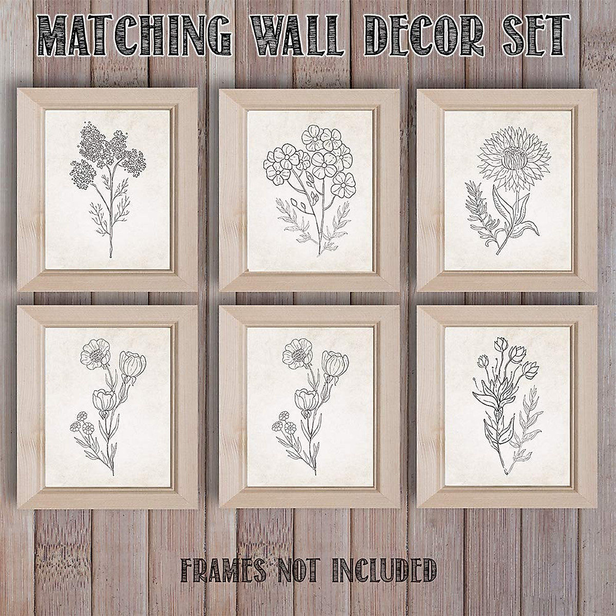 Beige Florals in Black and White Set of 6-8x10 Unframed Art Prints - Makes a Great Gift to Gardening Enthusiasts and Lovely Living Room Decor Under $20