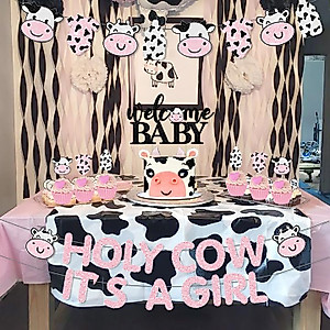 Cheereveal Cow Print Baby Shower Decorations Girl, Holy Cow It's a Girl Baby Shower Decorations, Pink Cow Garland, Welcome Baby Cake Toppers for Farm Animal Floral Girl Baby Shower Party Decoration
