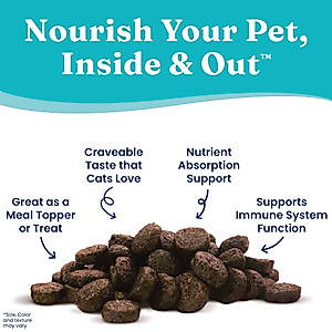 Solid Gold NutrientBoost Meal Topper for Cats - High Protein Crunchy Cat Treats Rich in Vitamins Minerals and Amino Acids - 1 Pound