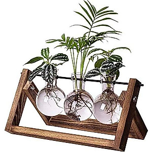 Kingbuy Plant Propagation Stations Terrarium Glass Desktop Planter with Retro Wooden Stand 3 Bulb Vases for Hydroponics Indoor Office Desk Home Decor, Plant Holder Lover Gifts for Women