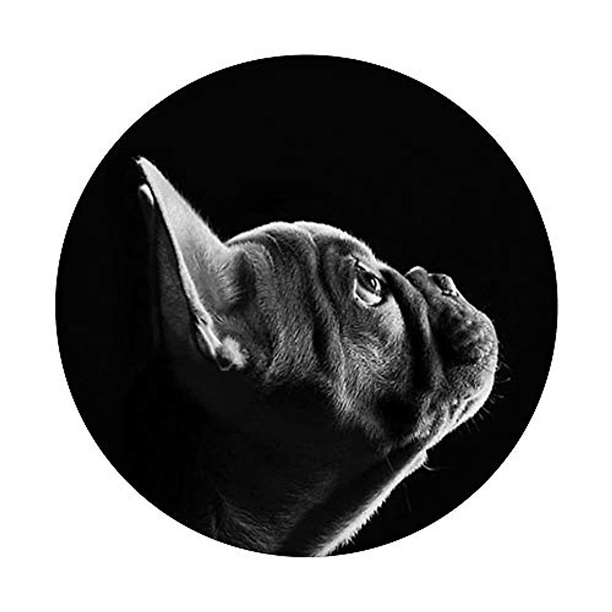 Cute Black French Bulldog Frenchie Dog Lovers Gift PopSockets PopGrip: Swappable Grip for Phones & Tablets