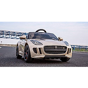 12V Kids Powered Wheel Charger, 12 Volt Battery Charger for Children's Electric Ride On Car Competiable with Audi BWM Mecerdes-Benz Battery Power