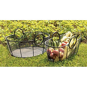 Small Harvest Basket