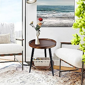 FANTERSI Small Round Side Table, 2-Tier Mid Century Modern Side Table, Round End Table Small Side Table for Living Room, Metal Frames, Brown