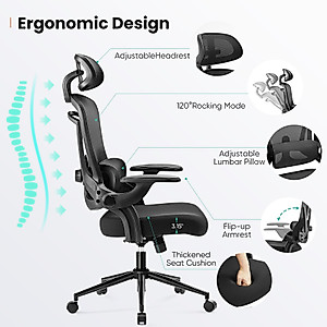 Ergonomic Mesh Office Chair, High Back Desk Chair with 2D Headrest, Up&Down Lumbar Support, Swivel Computer Task Chair with Adjustable Flip-up Armrests, Black