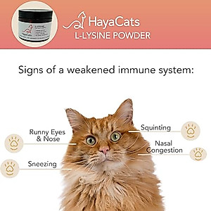Haya Pets Lysine Cat Supplements Immunity Booster Powder for Respiratory Support, Eye Health, Runny Nose, Cat Herpes, and Allergy Support