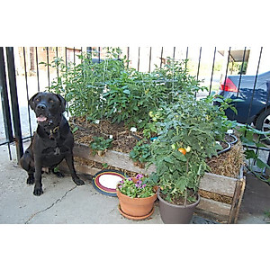 BaleBuster4 Four Bale Conditioning Formula for Preparation of a Straw Bale Garden for Planting a Vegetable Garden