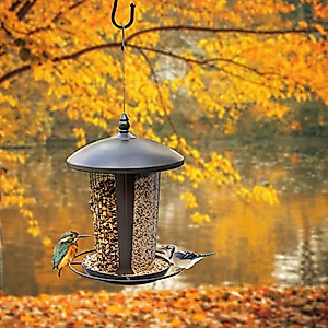 Bird Feeder Tall for Outside Hanging, Bird Seed for Outside Wild Bird Feeders for Garden Yard Outdoor Decoration, 2 Column Design for Different Approaching, Brown