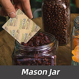 Wisesorb 30 Pack 62% RH 8 Gram Two-Way Humidity Control Packs for Storing 1 oz, Size 8 Moisture Control Packets Individually Wrapped