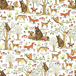 Colors of Rainbow Flat Sheet Wrapping Paper Featuring Enchanted Fairytale Forest with Animal Friends Squirrels Foxes Rabbits And Bears Gift Wrap (Fairytale Forest)