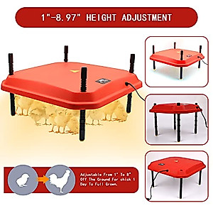 GIFANK Chicken Brooder Heating Plate for Chicks and Ducklings 16” x 16” Temperature Adjustable LED Display Adjustable Height,Safer Than Brooder Lamps Heater,Keeps Up to 30 Chicks Warm,42W