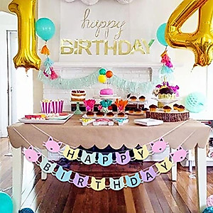 cat birthday banner - cat banner，Cat 1st birthday banner, one birthday for cat, 1st birthday kitty banner,Cat Themed Party Colorful Birthday Banner