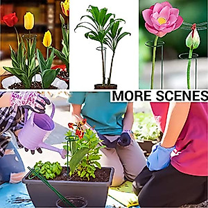 SUNYAY 12 inch Green Plant Support Stakes Metal Garden Stakes Flower Support Stakes and Rings for Amaryllis Orchid Lily Sunflower Rose Narcissus 10 pcs