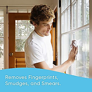 Windex Disinfectant Cleaner - Multisurface Spray Bundle, Includes a 23 fl oz Spray and a 32 fl oz Refill, Works on Kitchen and Bathroom Counters and More, Citrus Fresh Scent