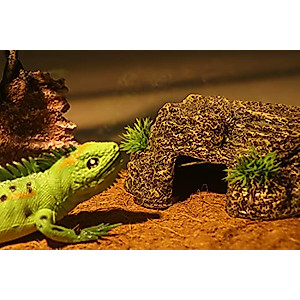 AQUA KT Reptile Cave Hide Natural Hiding Place for Terrarium Amphibian Lizard Snake Bearded Dragon Frog Leopard Terrestrial Gecko Cave