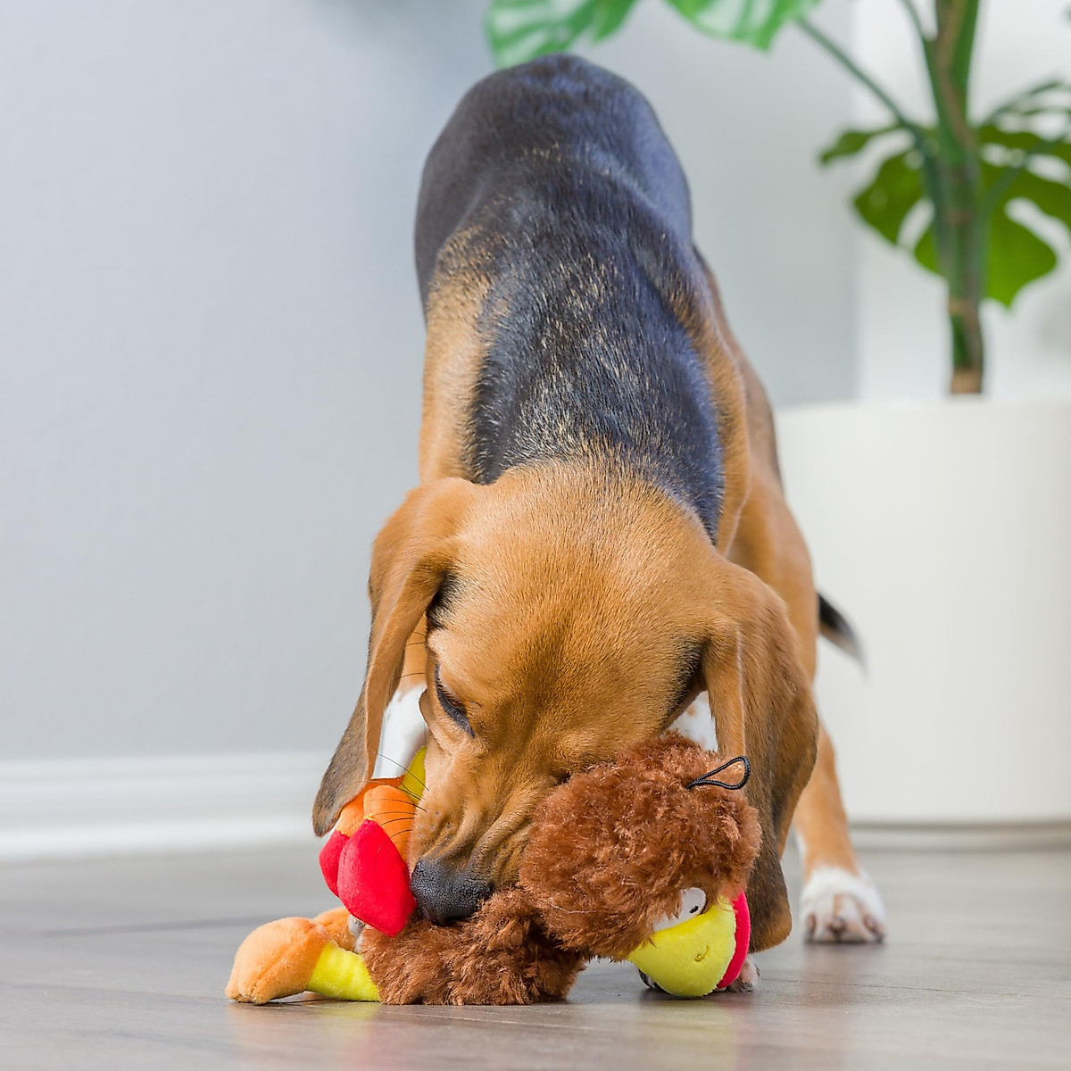 Huxley & Kent Slappies for Dogs | Wishbone Turkey (Small) | Squeak & Shake Dog Toy | No Stuff Squeaky Toy, TPR Ball in Head | Simulates Hunting Nature for Dogs