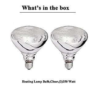 GAINTOO Dual Bulb Food Heat Lamp Restaurant Food Warmer Light Portable Heating Lamps (Dual Head(Copper))