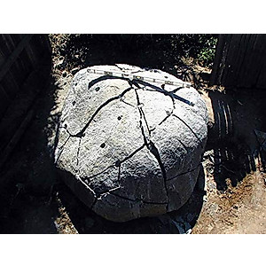 Dexpan Expansive Demolition Grout 11 Lb. Bucket for Rock Breaking, Concrete Cutting, Excavating. Alternative to Demolition Jack Hammer Breaker, Jackhammer, Concrete Saw, Rock Drill (Type 2, 50-77° F)