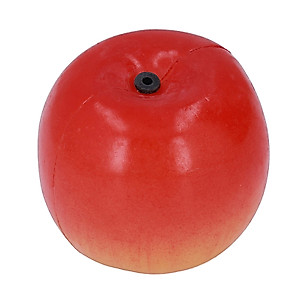 Fruit Shaker Learning Resource Plastic Percussion Shapes Fruit Shaker Set for 6+ Months Apples, Lemons, Bananas, Strawberries, Mangoes() for Child Toys Music Learning Classroom