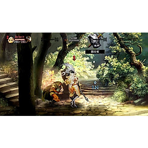 Dragon's Crown Pro - Battle Hardened Edition (PS4)