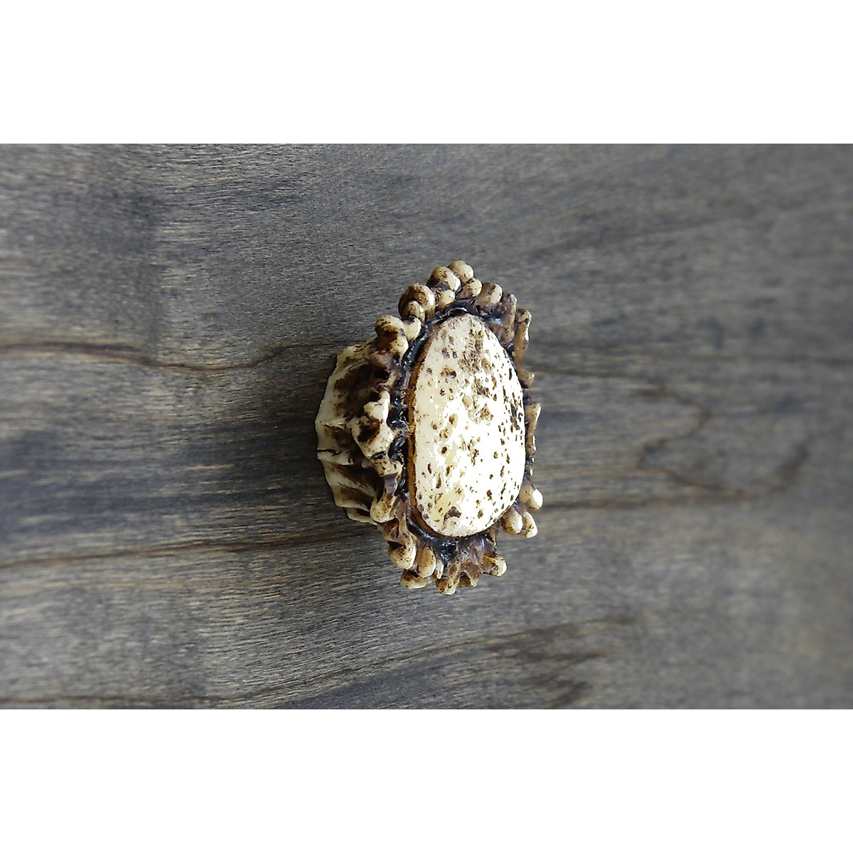 Old River Antler Drawer / Cabinet Knobs (4 Pack) - 2 Sizes of Screws and Washers Included