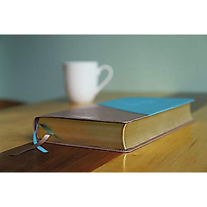 NIV, Personal Size Bible, Large Print, Leathersoft, Teal/Gold, Red Letter, Comfort Print
