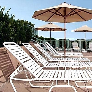 NickHouse 2" x20' ft Vinyl Strap for Patio Chair Repair Kit Outdoor Patio Lawn Furniture Repair Strap Strapping Matte Finish (Brown) + 20 Free Rivets!