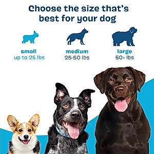 Bark Bright Original Dog Dental Kit - 30 Teeth Cleaning Chew Sticks & Toothpaste - Small Breeds