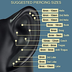 2pc 16g Hinged Clicker Captive Bead Ring Rose Gold 10mm Helix Earring Nose Hoop Rook Cartilage Tragus Lip Septum Forward Eyebrow Ear Lobe Nostril Rings Seamless Surgical Steel