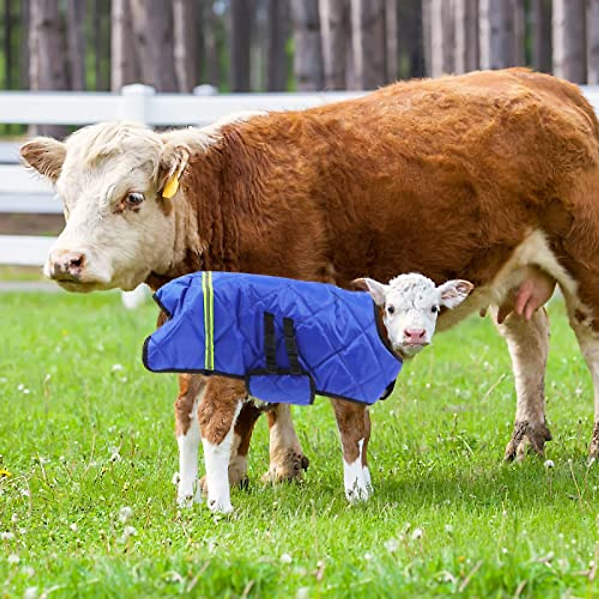 Generic Calf Blanket Thickened Livestock Warm Clothes - Soft Flannelette Calf Vest Winter Coat for Farm Cows Horses - Random Style