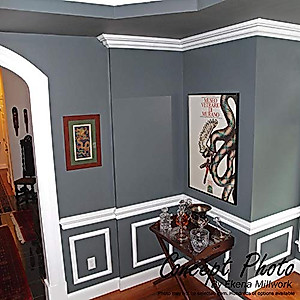 Ekena Millwork PNL16X24AS-01-CASE-2 Ashford Molded Classic Wainscot Wall Panel, 16"W x 24"H x 1/2"P, Factory Primed White, 2 Count