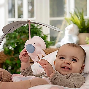 Ingenuity Keep Cozy 3-in-1 Grow with Me Vibrating Baby Bouncer Seat & Infant to Toddler Rocker, Vibrations & -Toy Bar, 0-30 Months Up to 40 lbs (Pink Burst)