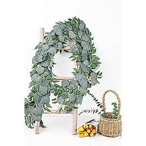 10 Pcs 6.2 Feet Artificial Silver Dollar Eucalyptus Leaves Garland with Willow Vines Twigs Leaves String for Doorways Greenery Garland Table Runner Garland Indoor Outdoor.…