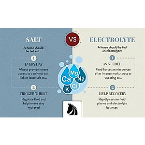Redmond Equine Electrolyte Paste | Electrolytes Supplement for Horses